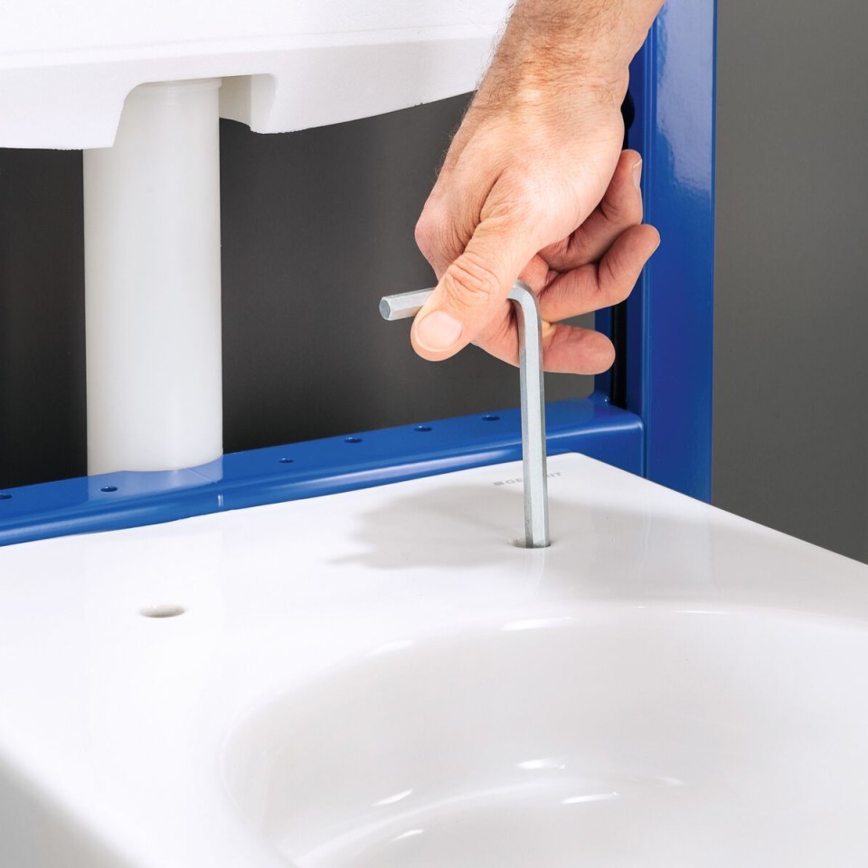 Vase WC şi capace pentru vase WC | Geberit.ro